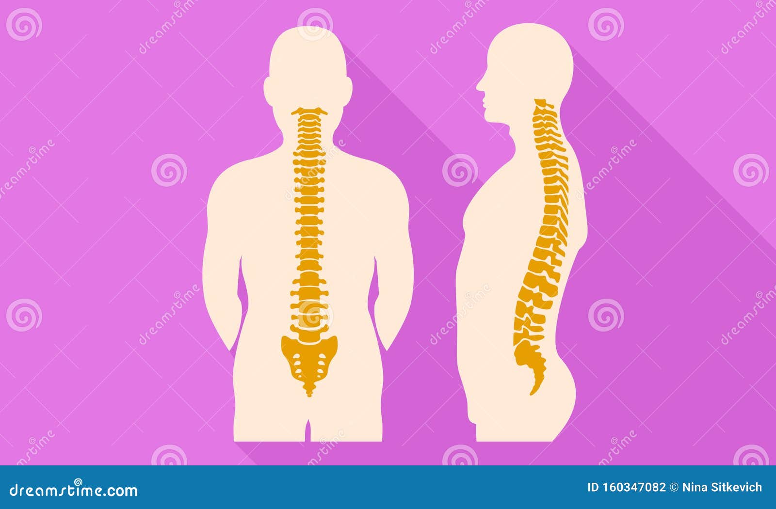 Human Spine Icon, Flat Style Stock Vector - Illustration of clinic ...
