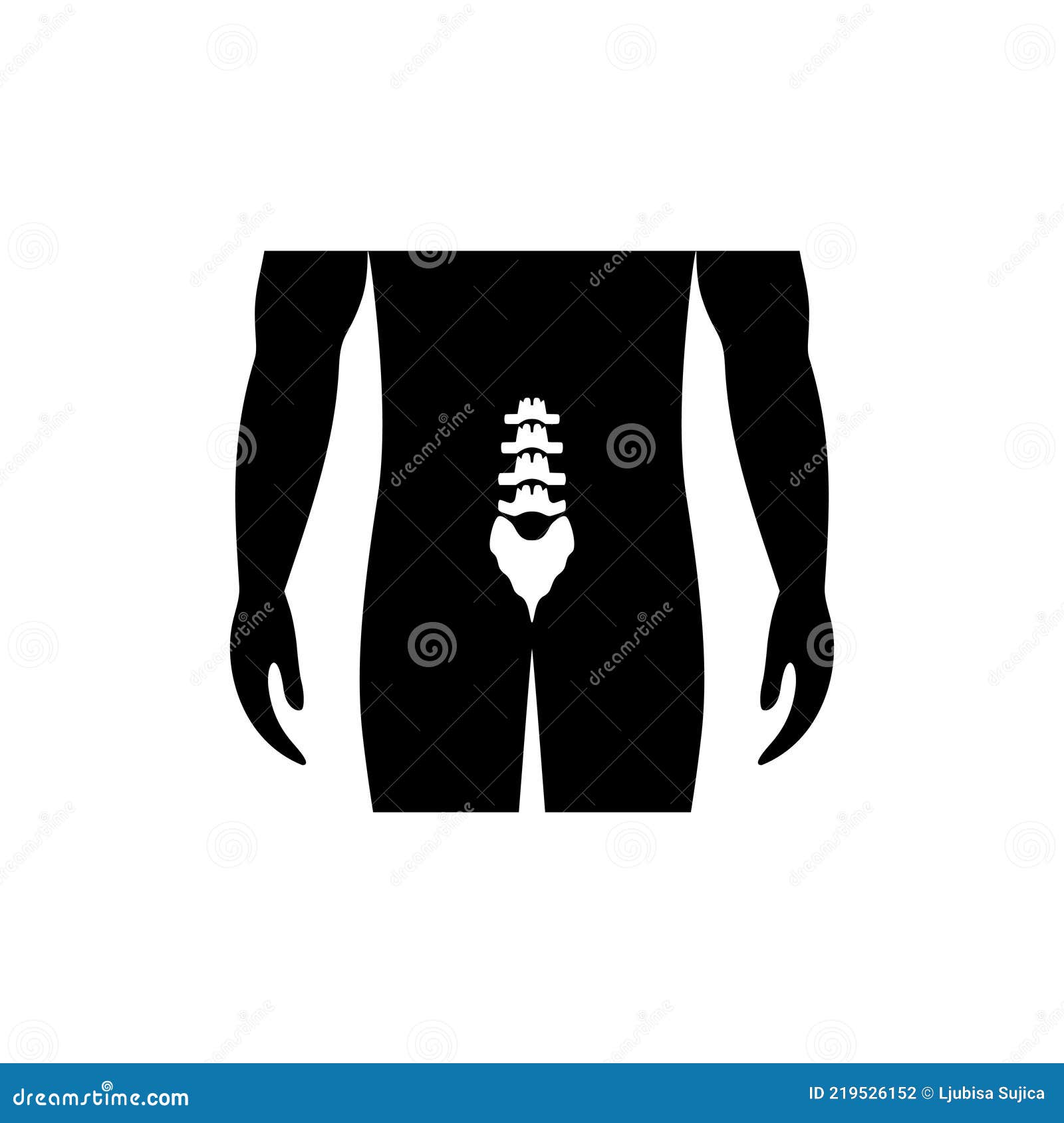 Human Spine Icon Isolated on White Background Stock Vector ...