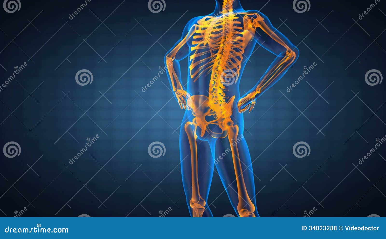 Human Spine Radiography X-ray Scan Stock Video Footage - Video of ...