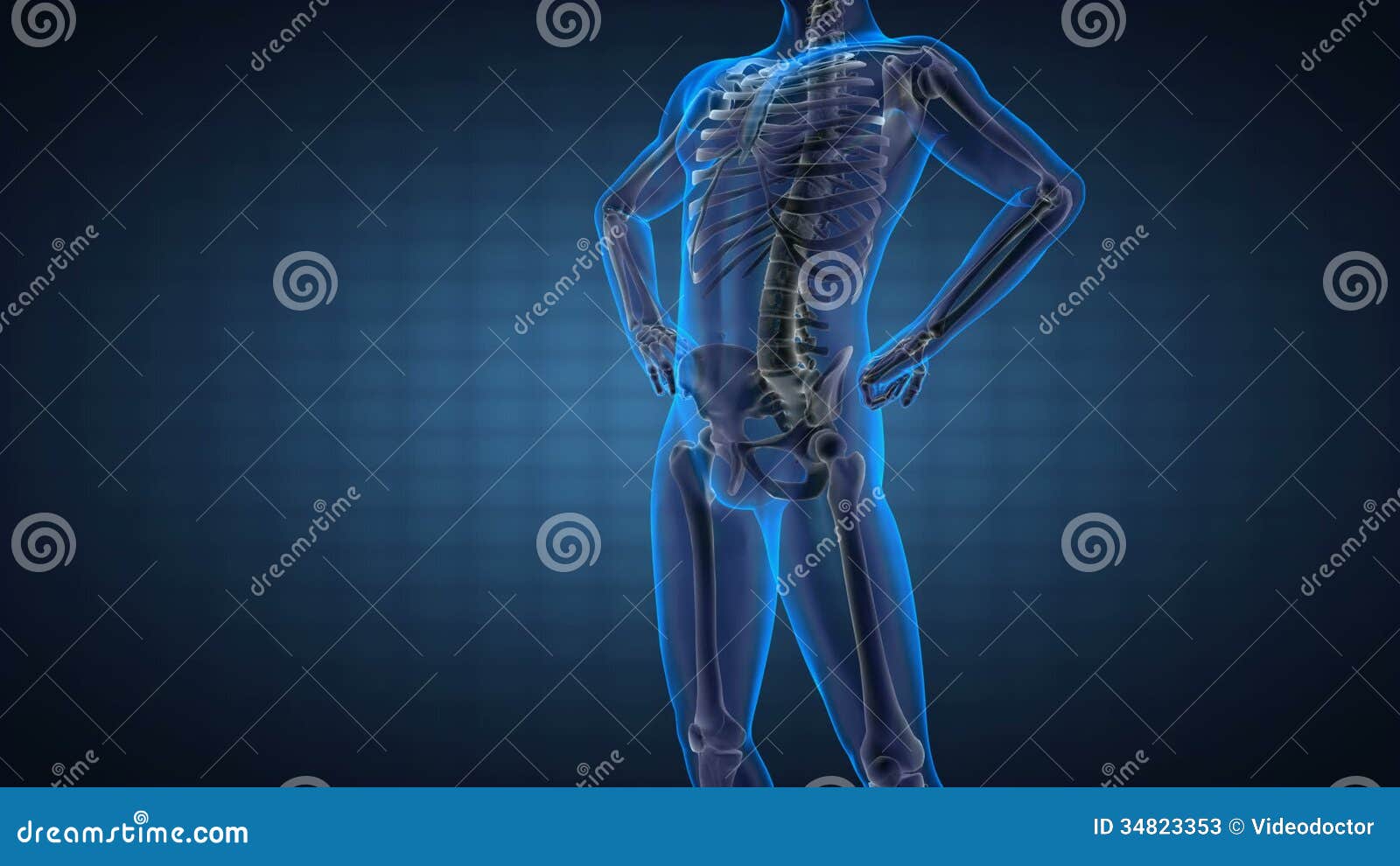 Human Spine Radiography X-ray Scan Stock Video - Video of anatomy ...