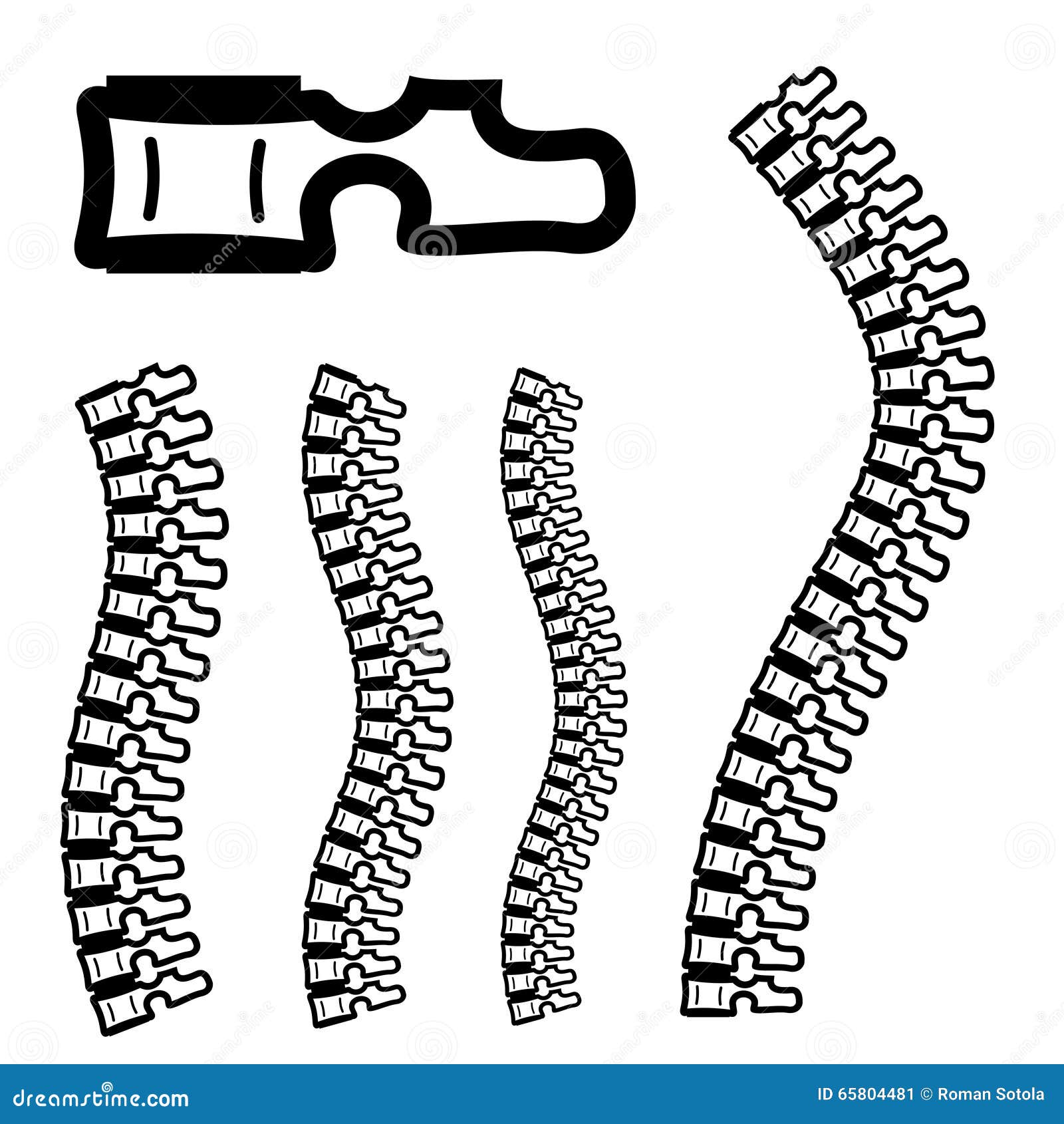 Human Spine Silhouettes - Vertebra Brush Cartoon Vector | CartoonDealer ...