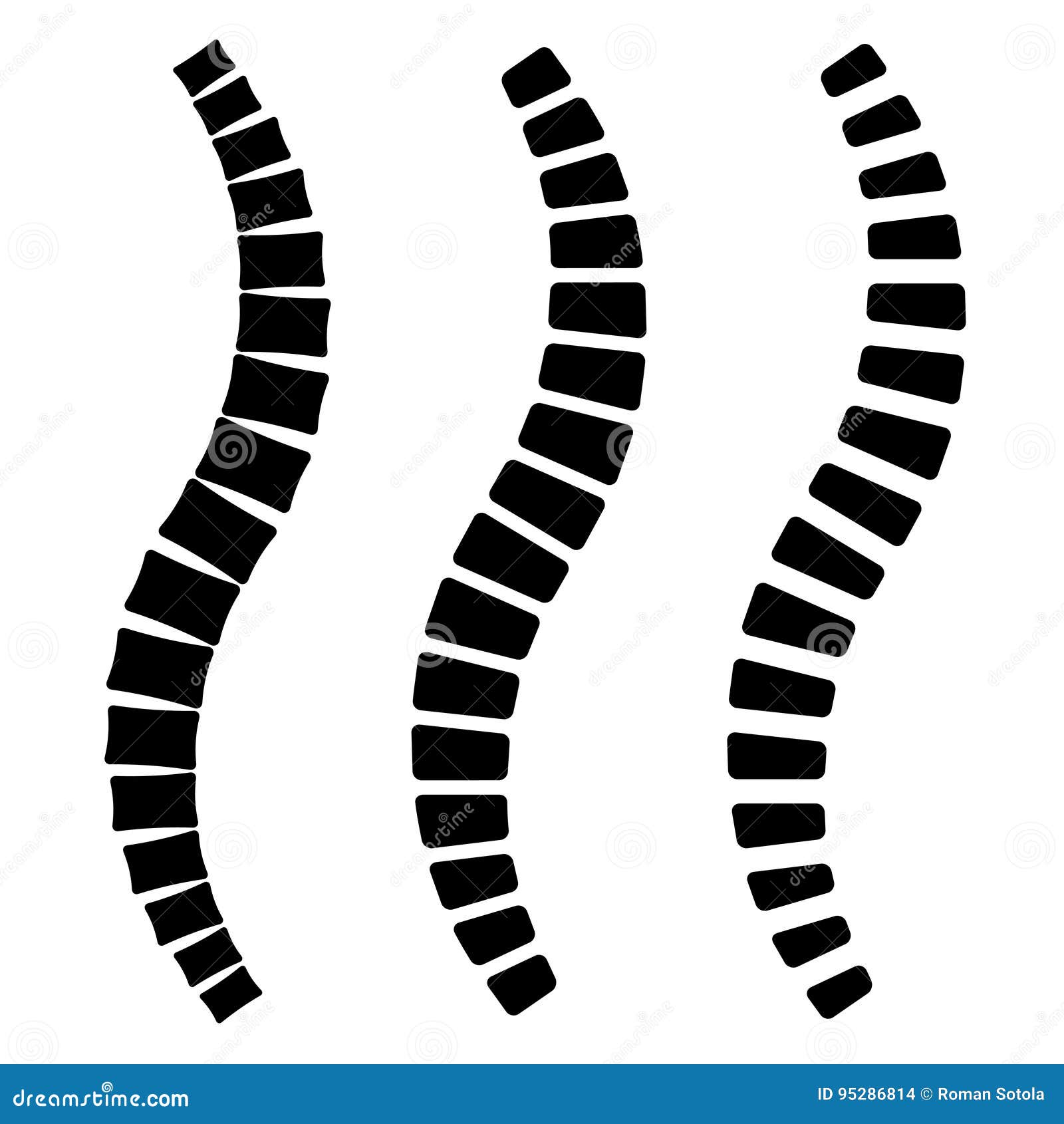 Human Spine Simple Silhouettes Stock Vector - Illustration of lumbar ...