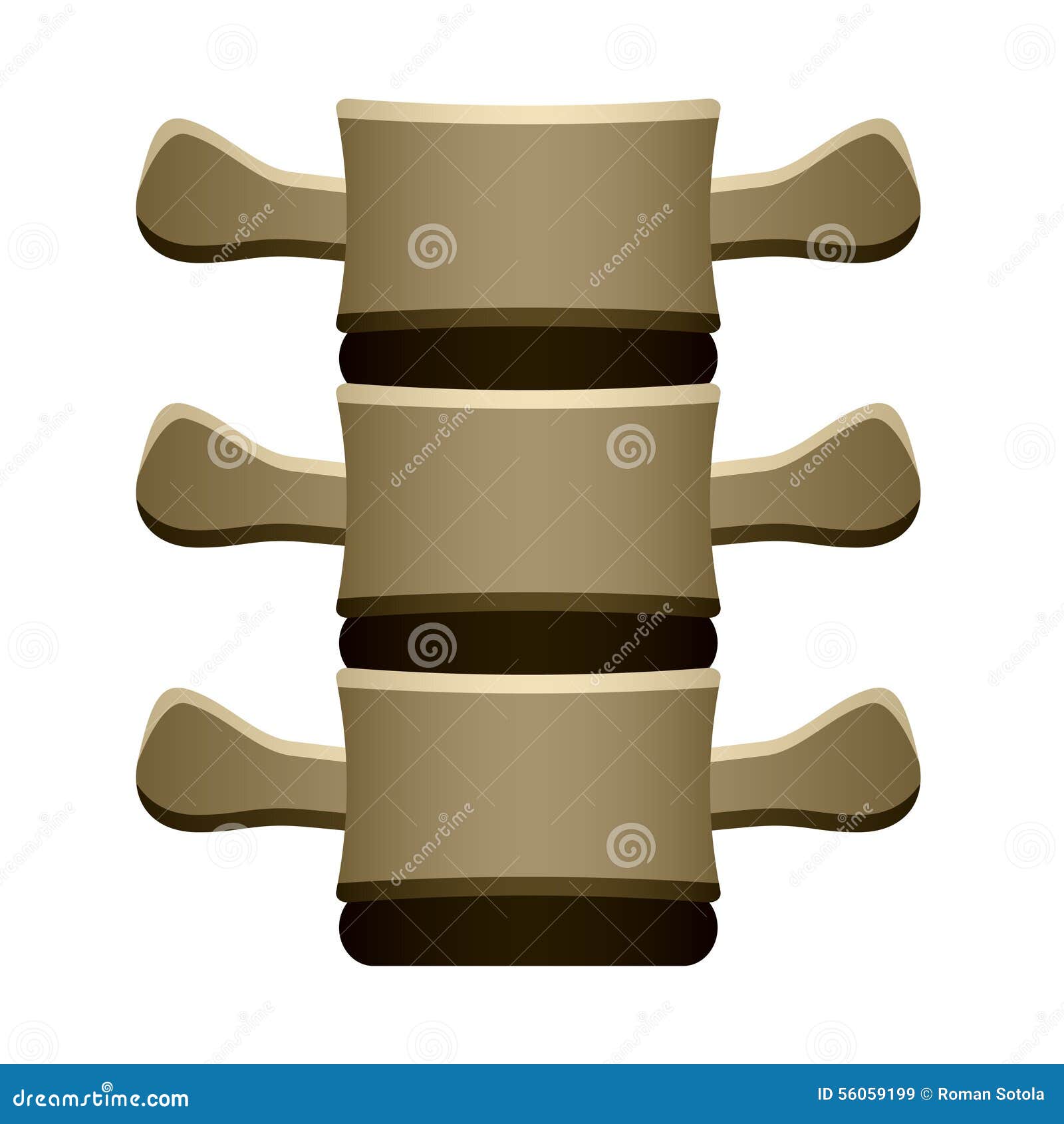 Spine With Vertebrae Colored With Rainbow Colors Stock Photography ...