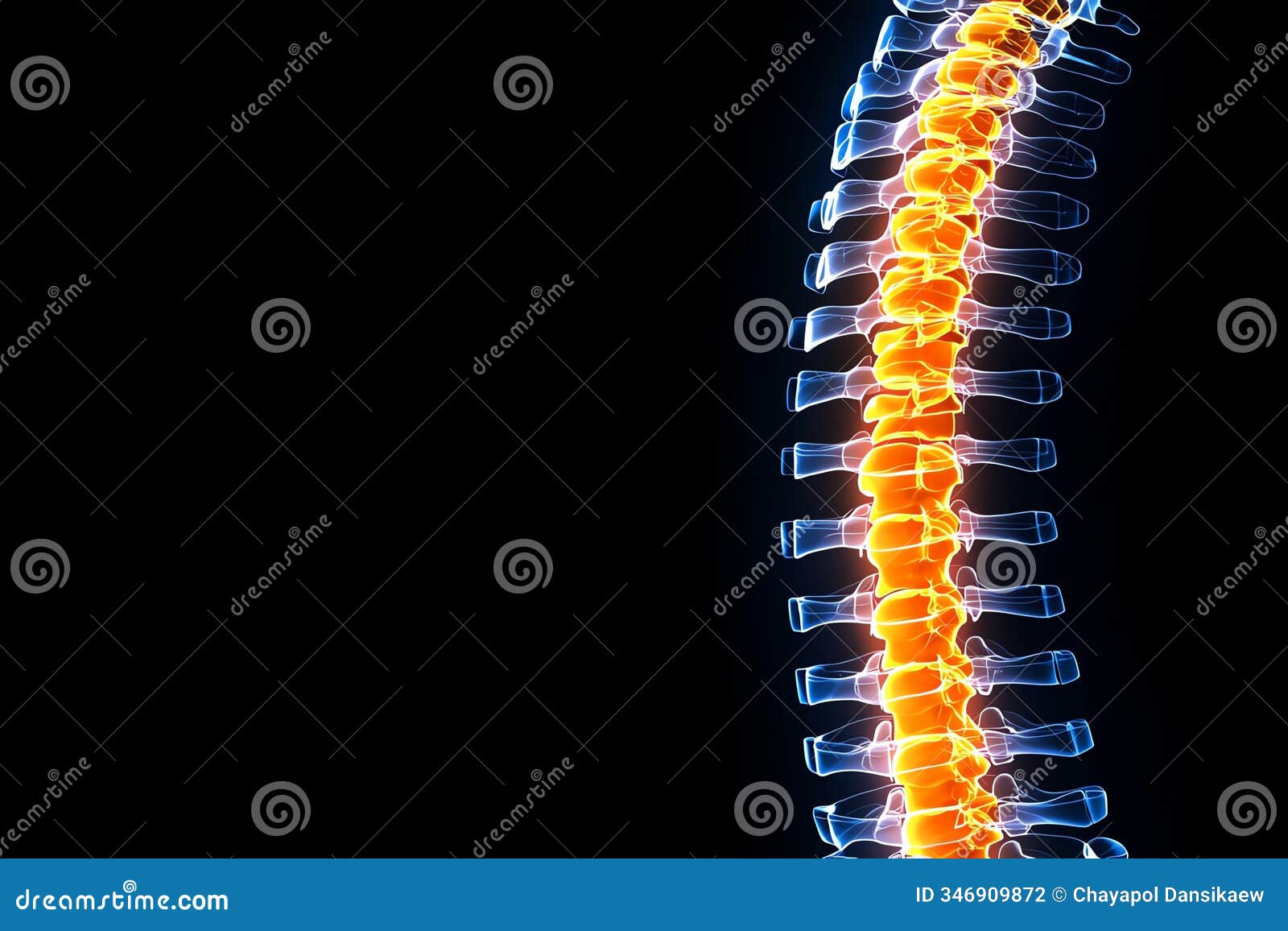 Human Spine with Vibrant Colors on a Black Background Stock ...