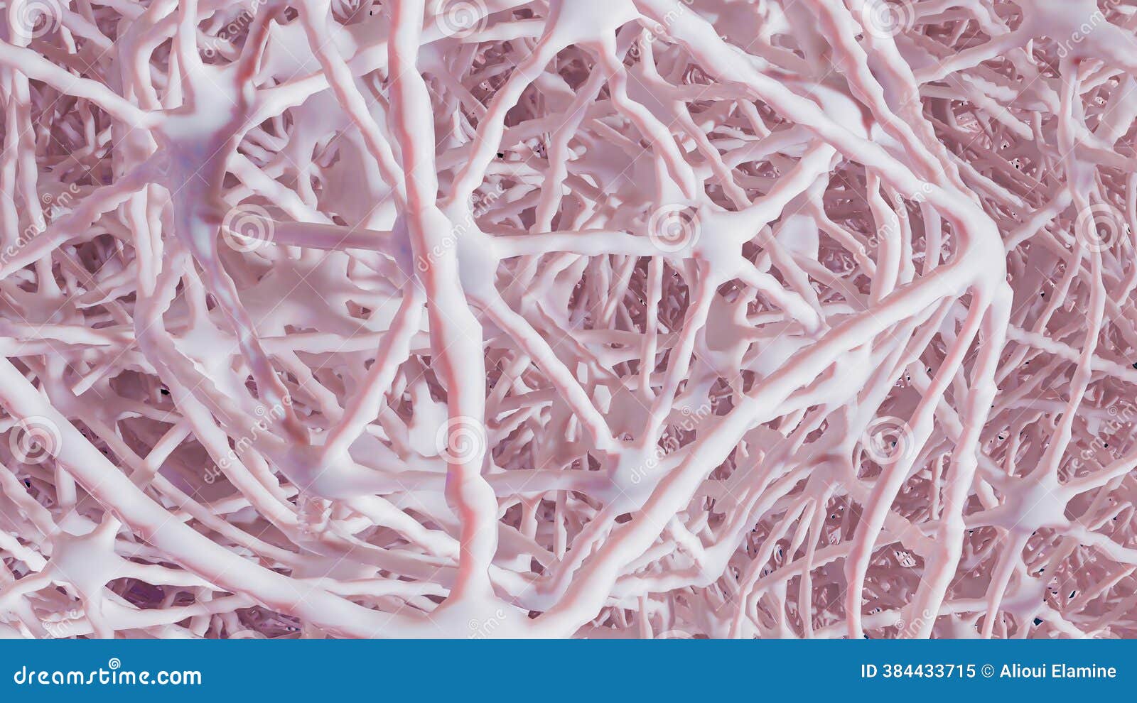 Bone Tissue Has Four Types Of Cells. Osteogenic Cell, Osteocyte ...