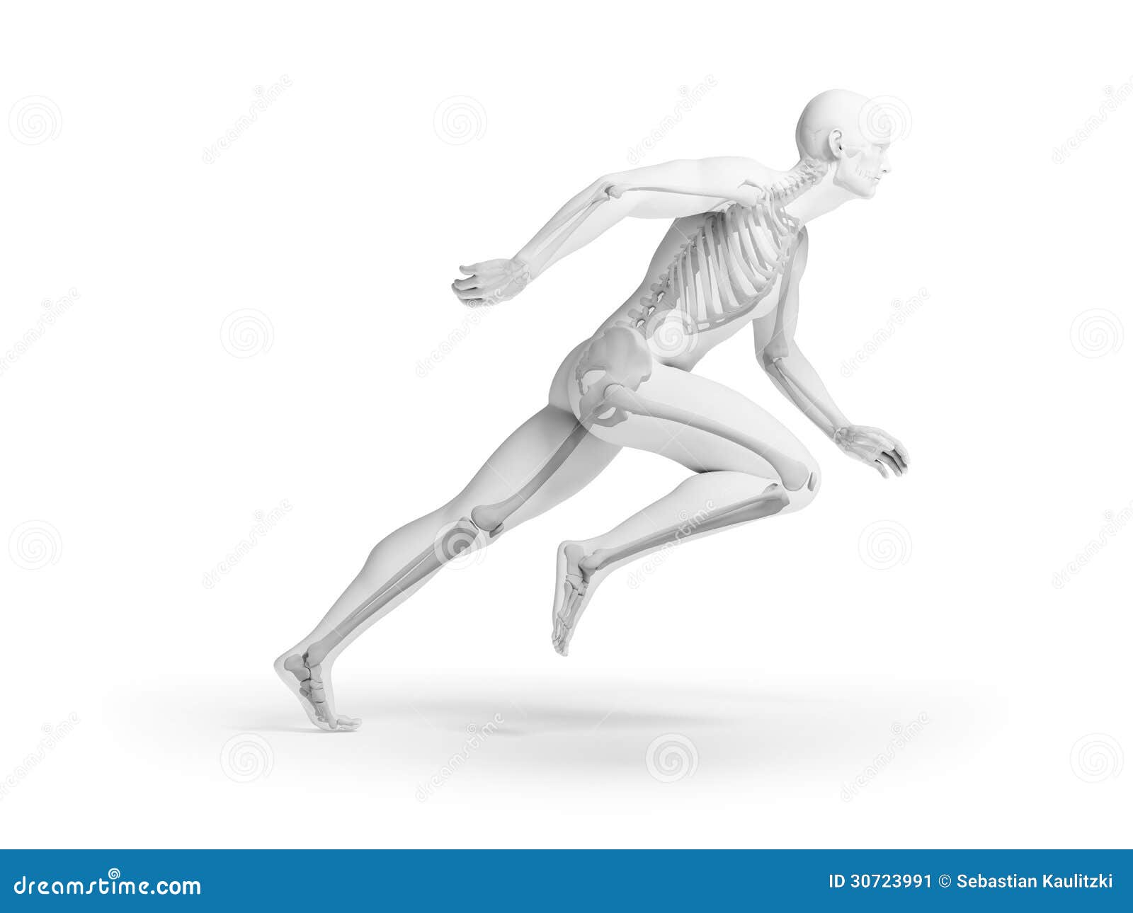 Human sprinter stock illustration. Illustration of runner - 30723991