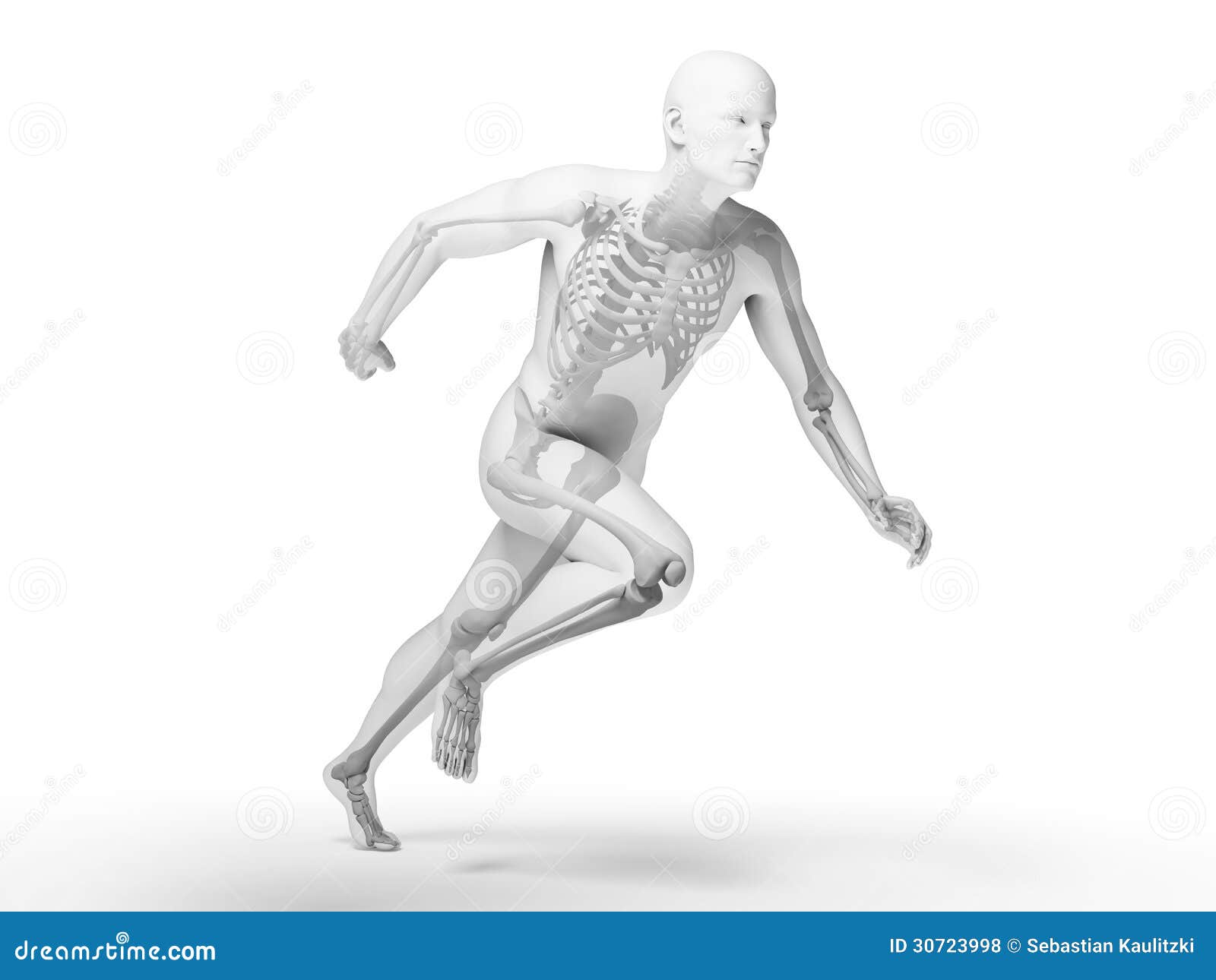 Human sprinter stock illustration. Illustration of running - 30723998