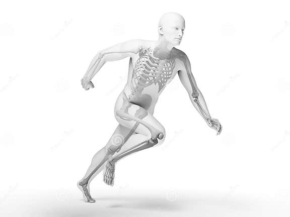 Human sprinter stock illustration. Illustration of running - 30723998
