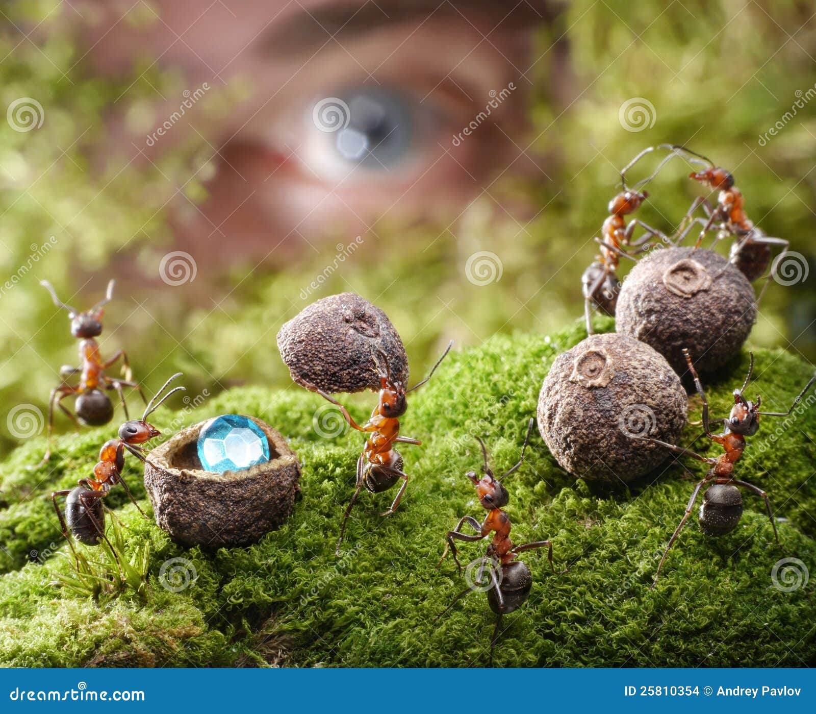 Human Spying Ants Hide Treasure, Ant Tales Stock Photo - Image of ...