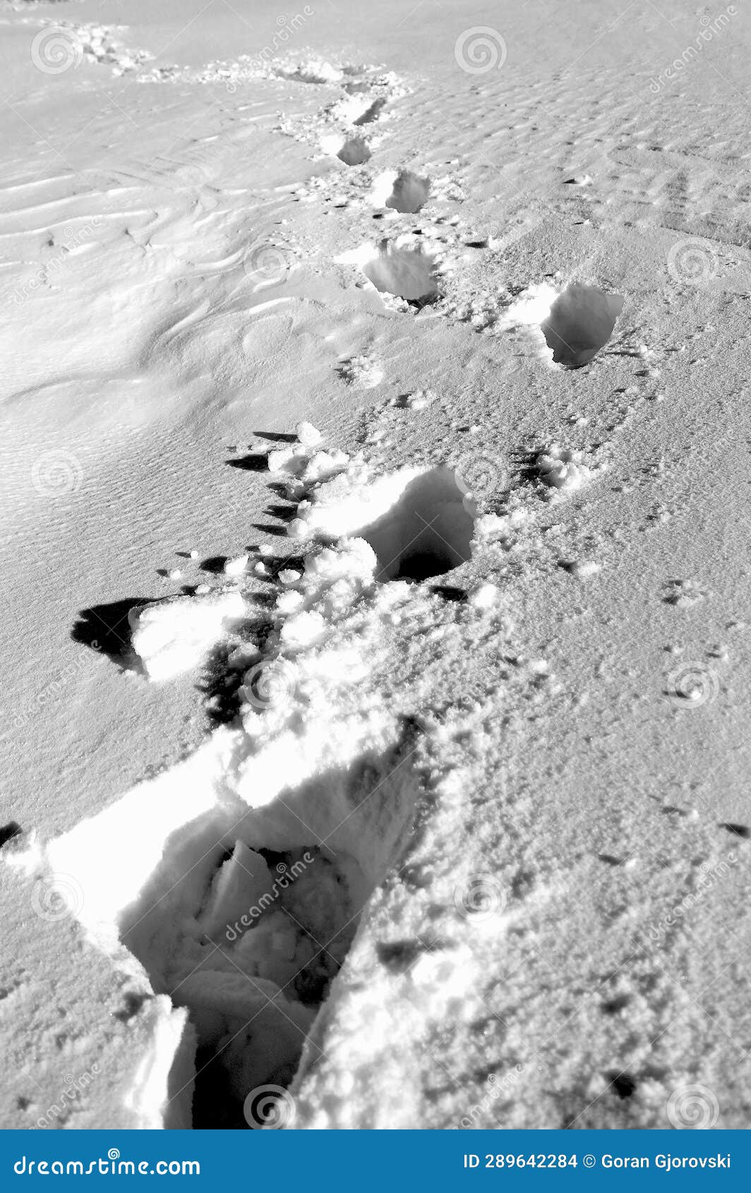 Human steps in snow stock photo. Image of steps, human - 289642284