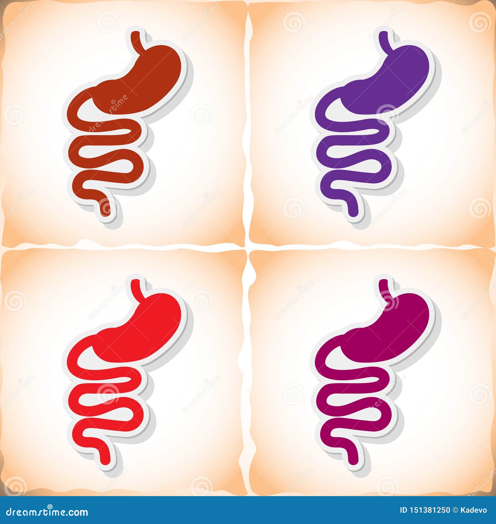 Human Stomach. Flat Sticker with Shadow on Old Paper Stock Vector ...