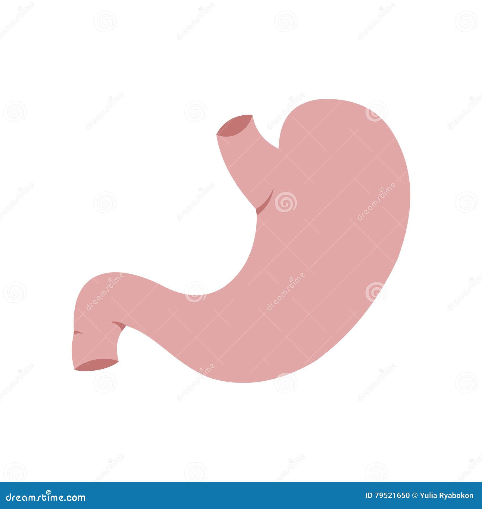 Human stomach icon stock vector. Illustration of organ - 79521650