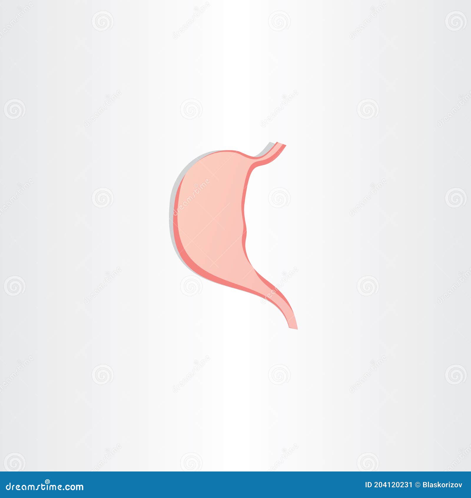 Human Stomach Icon Vector Symbol Stock Vector - Illustration of science ...