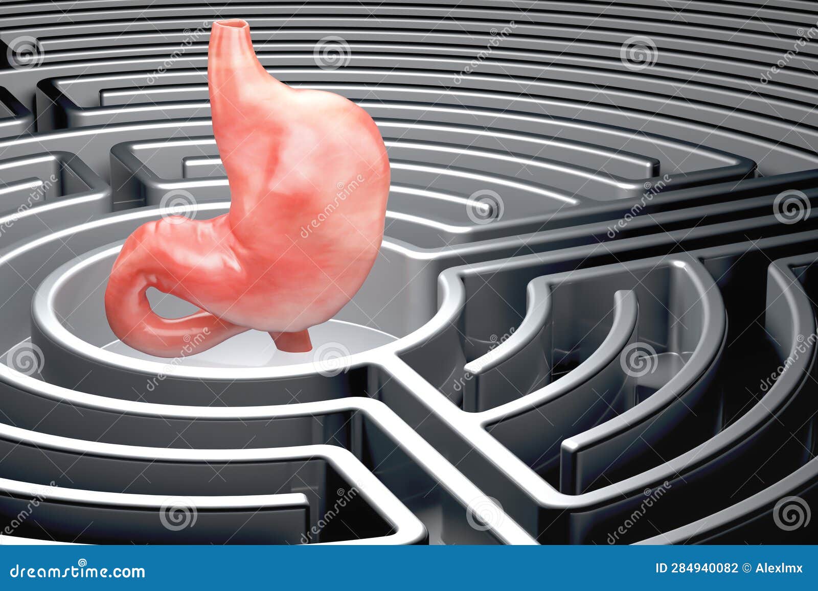 Stomach Inside Human Body Icon Vector From Body Parts Collection. Thin ...