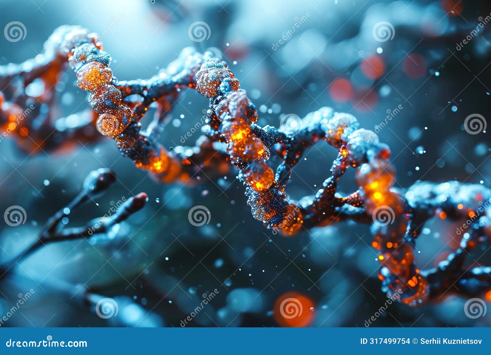 Human Dna Structure, Scientist, Doctor Holds Laboratory Test Tube And ...