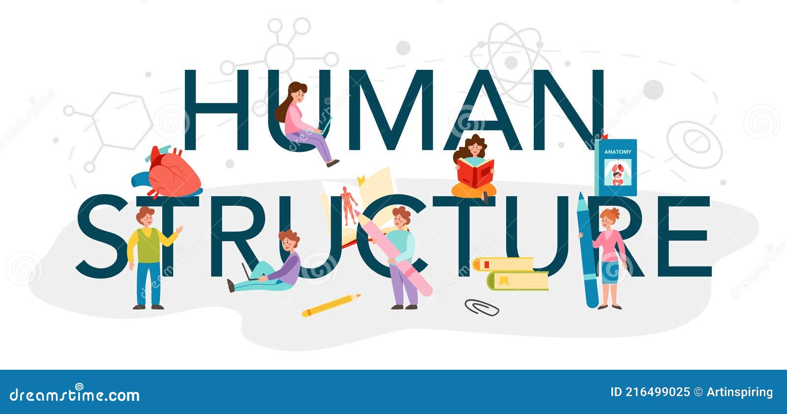 Human Structure Typographic Header. Anatomy Human Organ Studying Stock ...