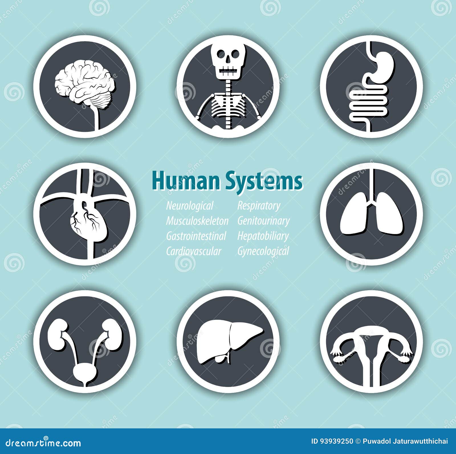 Human Systems Icon stock vector. Illustration of digestive - 93939250