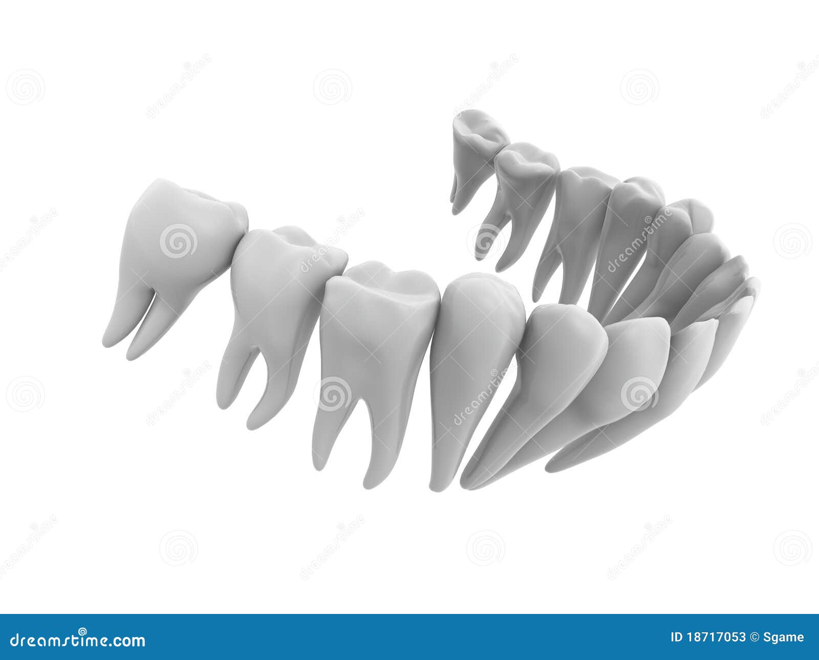 Human teeth stock illustration. Illustration of symbol - 18717053
