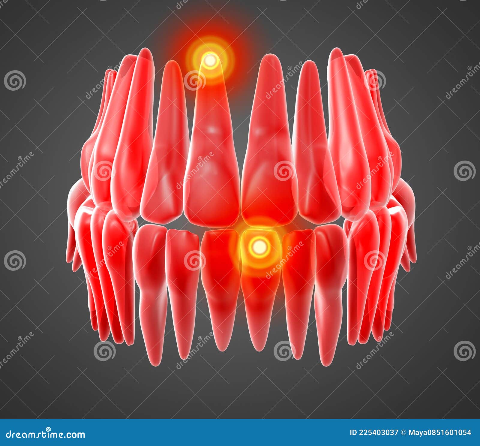 3d Rendering of Human Teeth Stock Illustration - Illustration of teeth ...