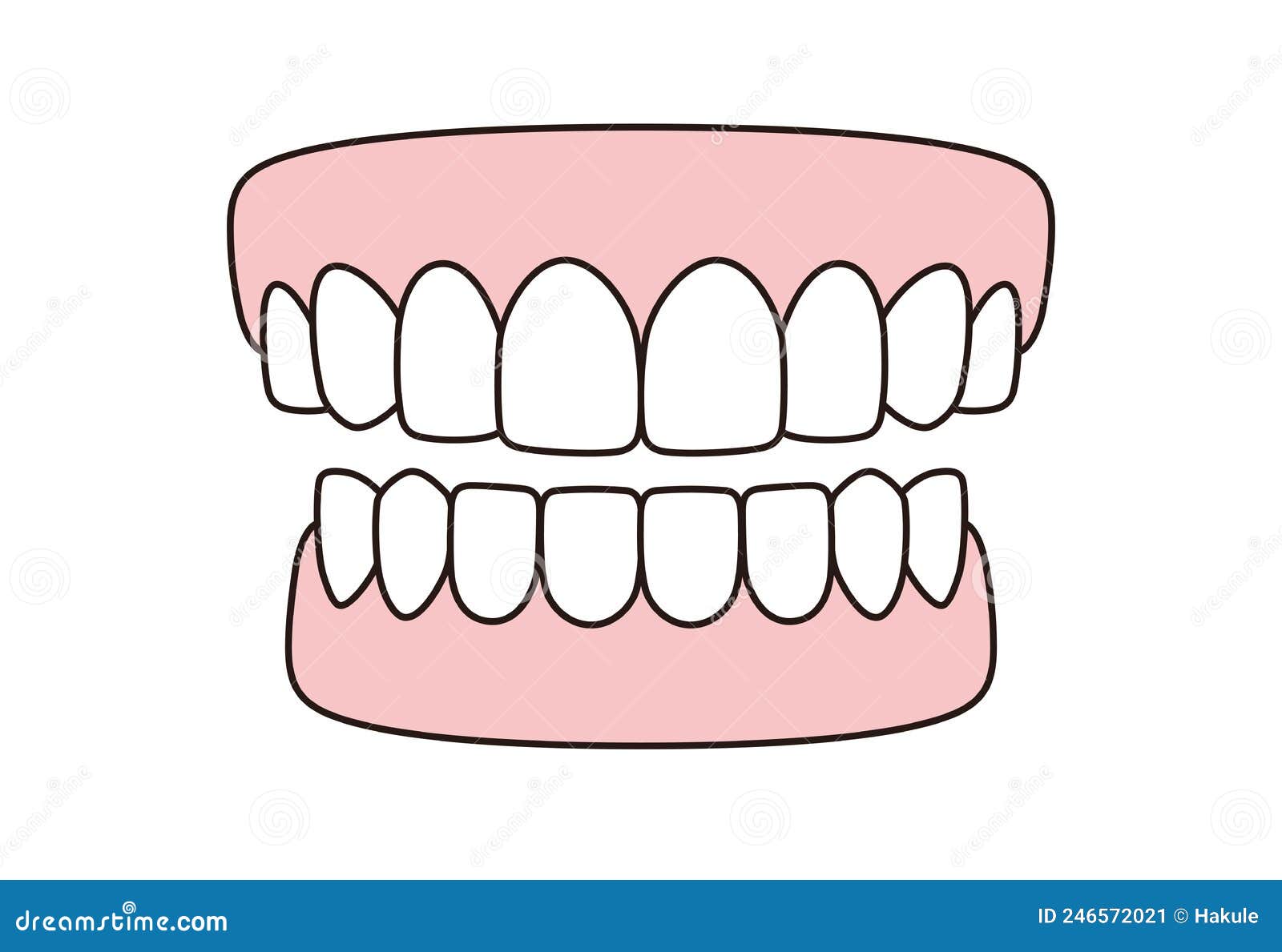 Human Teeth Model Icon, Vector Illustration Stock Vector - Illustration ...