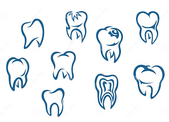 Human teeth set stock vector. Illustration of medicine - 24657071