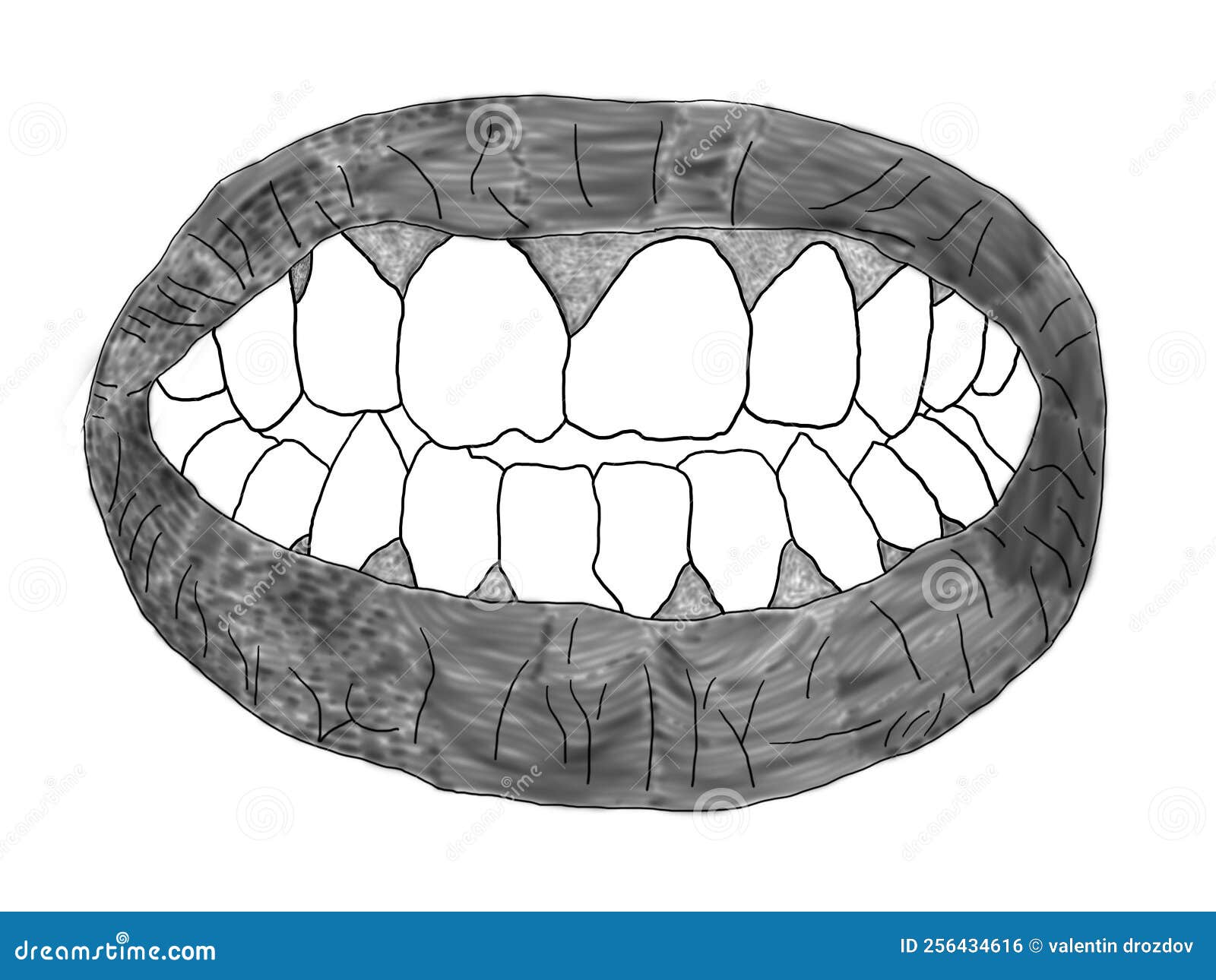 Teeth Sketch Pattern. Seamless Print Of Hand Drawn Human Tooth ...