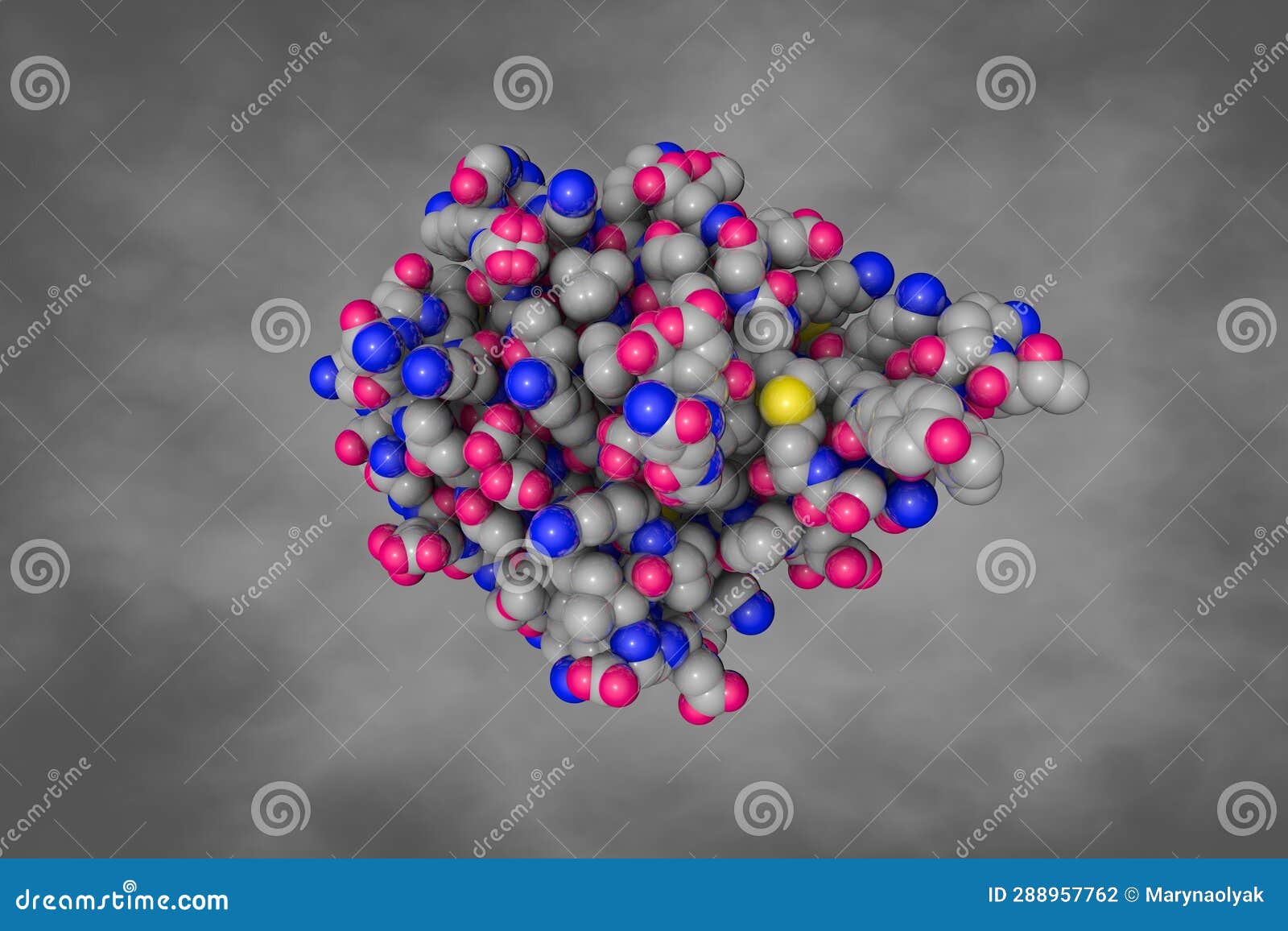 Human Testis Anatomy Medical Illustration. Cross-Section Of Male ...