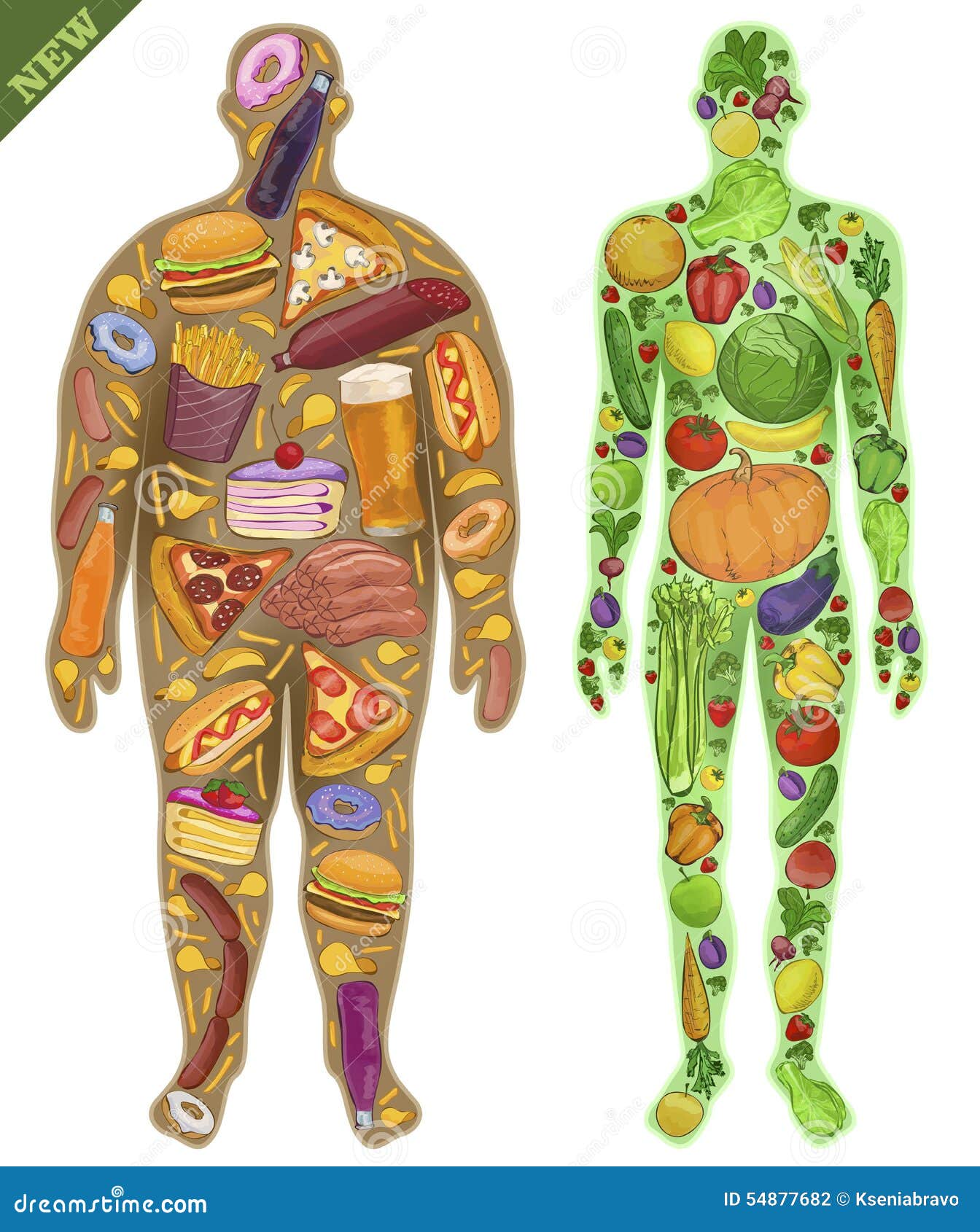 Human, Thin, Fat. Nutrition, Food. New. Vector Illustration Stock ...