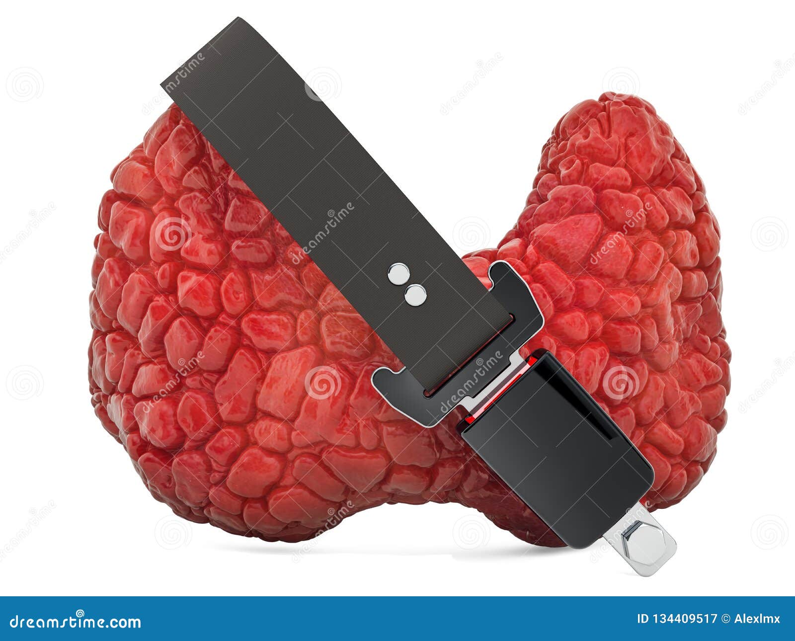 Human Thyroid with Safety Belt, Protect Concept. 3D Rendering Stock ...