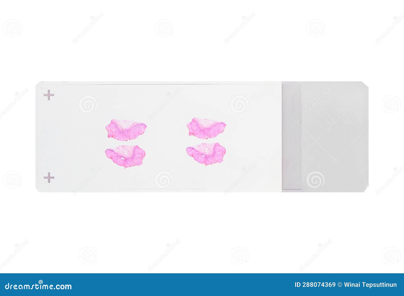 Human Tissue Microscope Slides Stock Image - Image of microscope ...