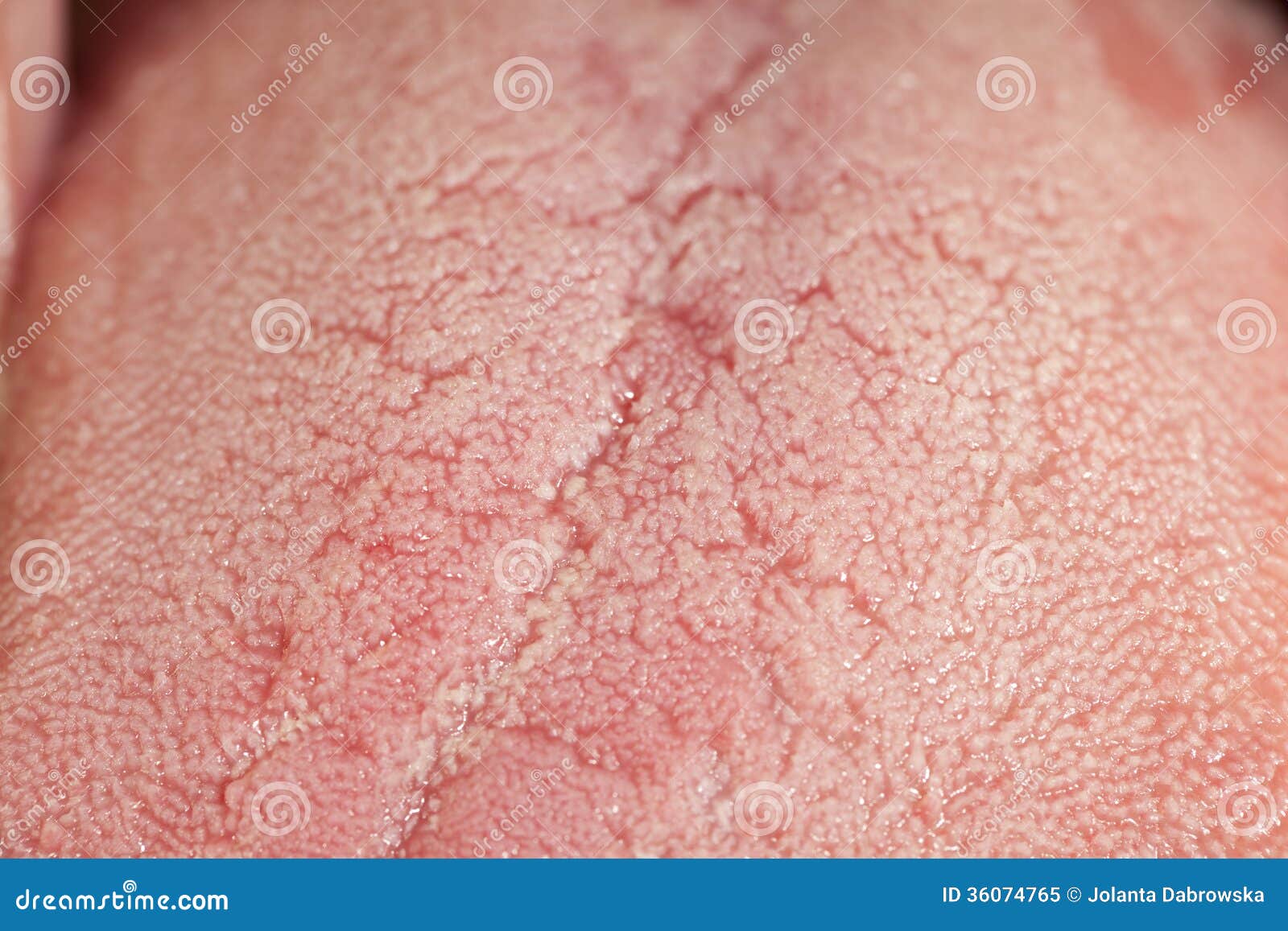 Human tongue stock image. Image of body, mouths, tongue - 36074765