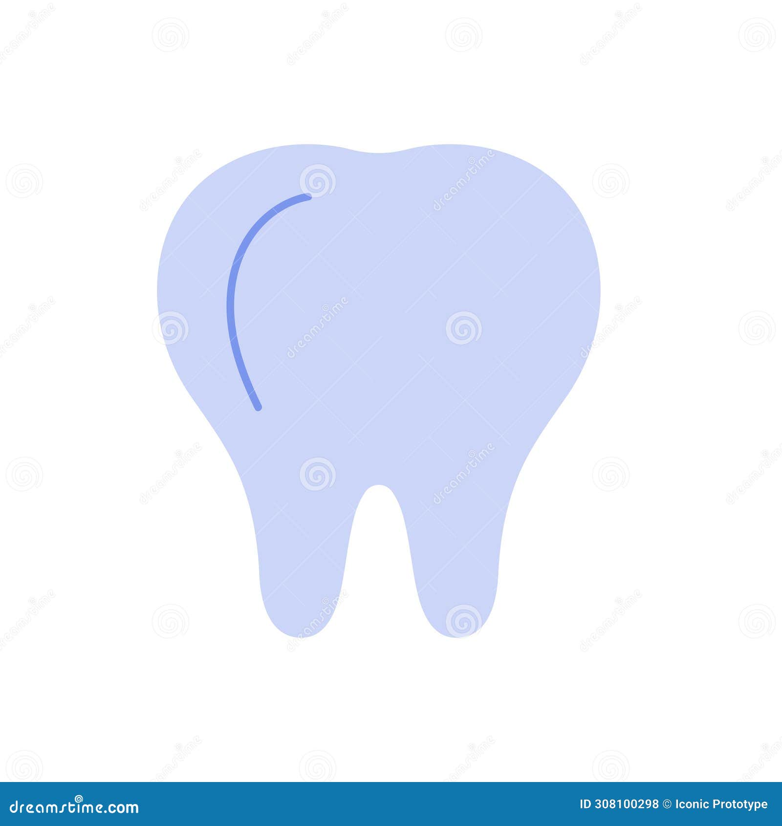 Human Tooth, Blue Healthy Molar Simple Model with Roots and Crown Stock ...
