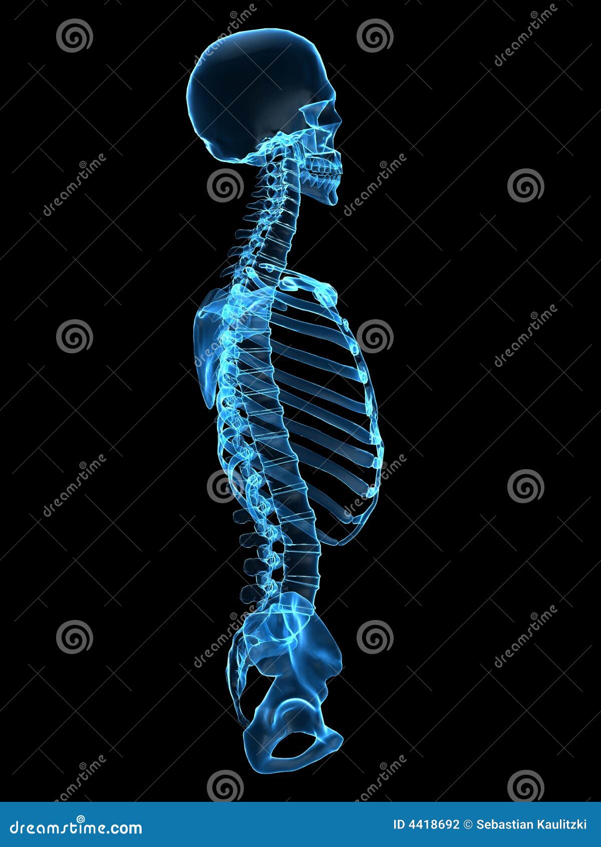 Human torso stock illustration. Illustration of rheumatism - 4418692
