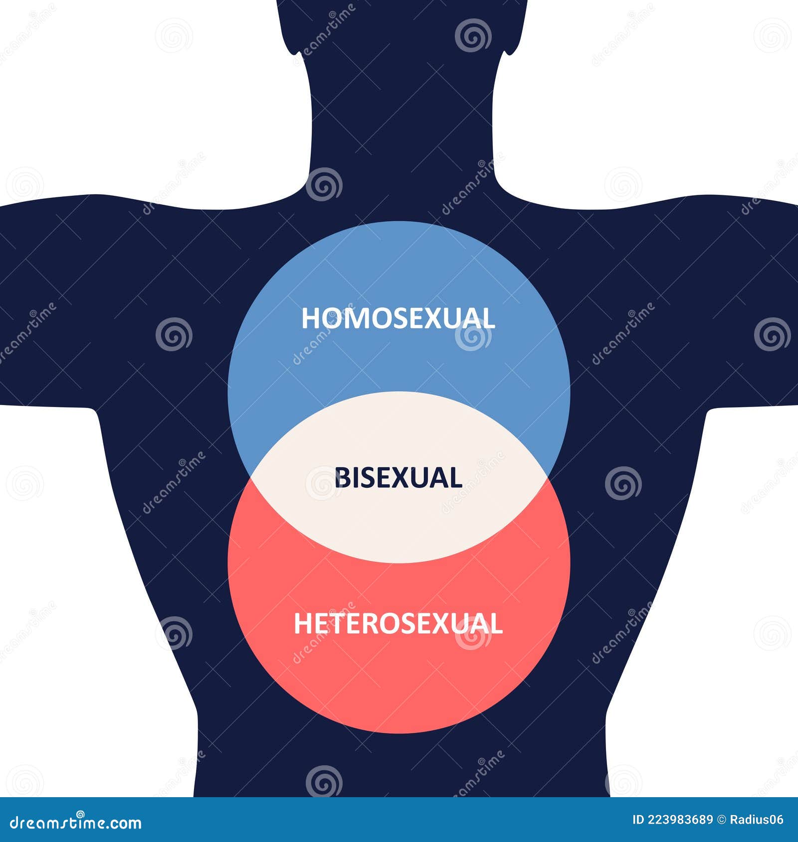 Human Torso and Infographics about Orientation Stock Vector ...