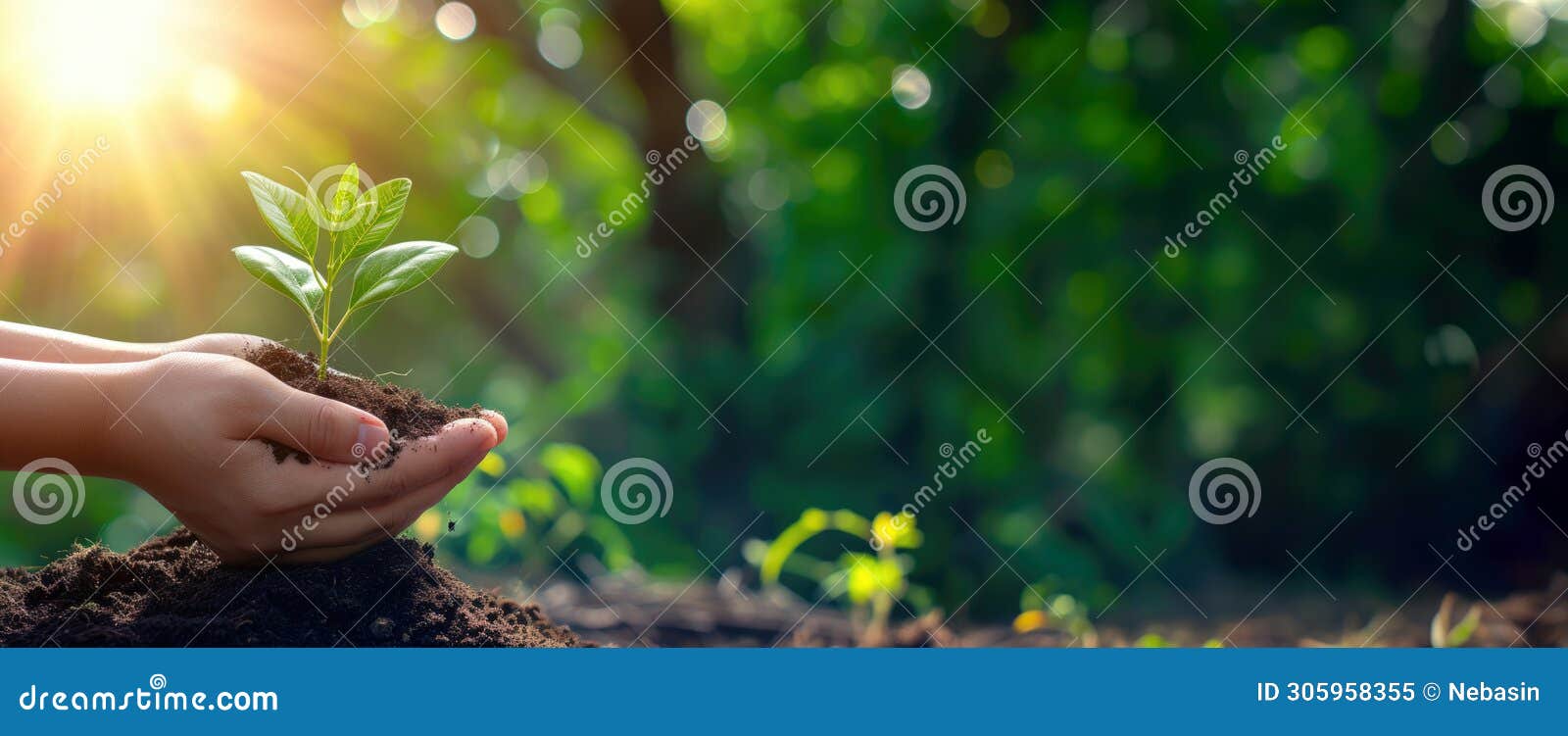 Human Touch Supporting a Tender Shoot, Representing Ecological ...