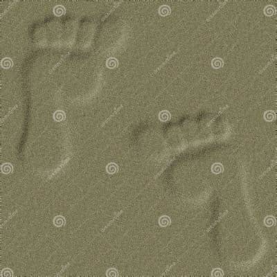 Human trace 2 stock illustration. Illustration of foots - 2577759