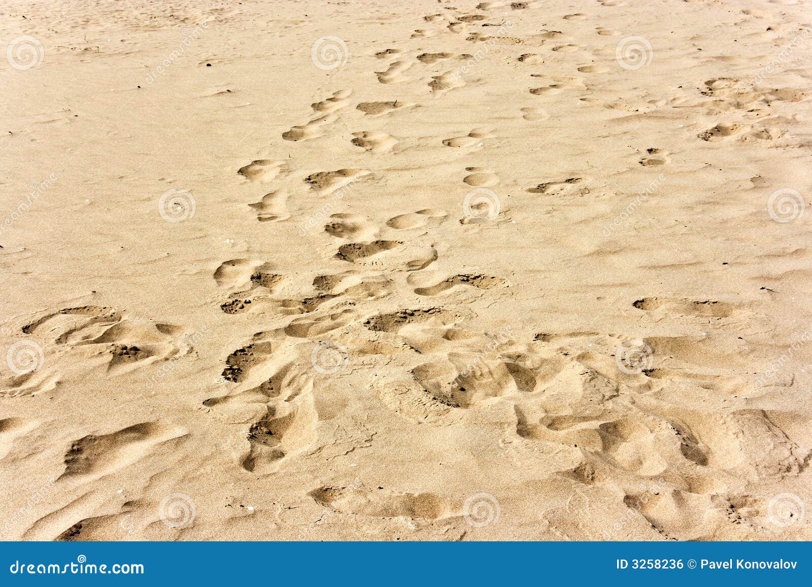 Human trace stock photo. Image of dirt, alone, moroccan - 3258236