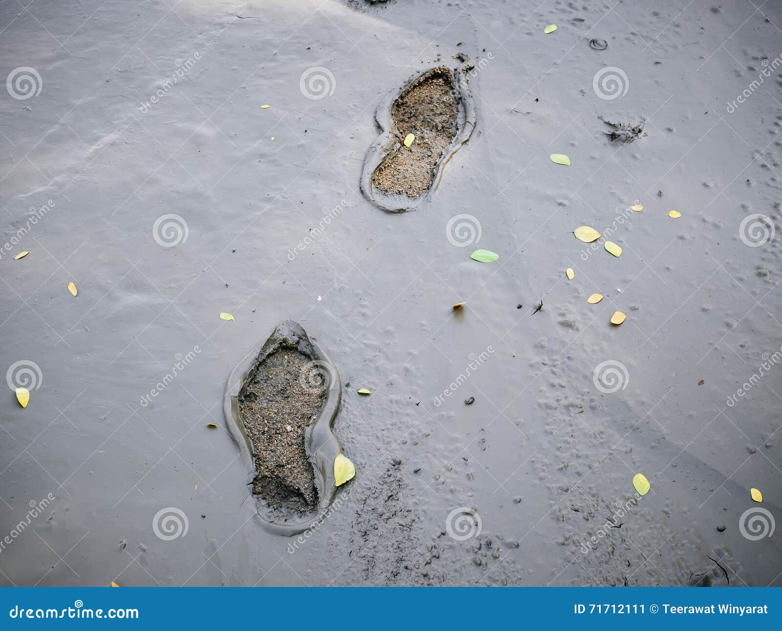 Human Trace Foot Print in Mud Ground Textured Stock Image - Image of ...