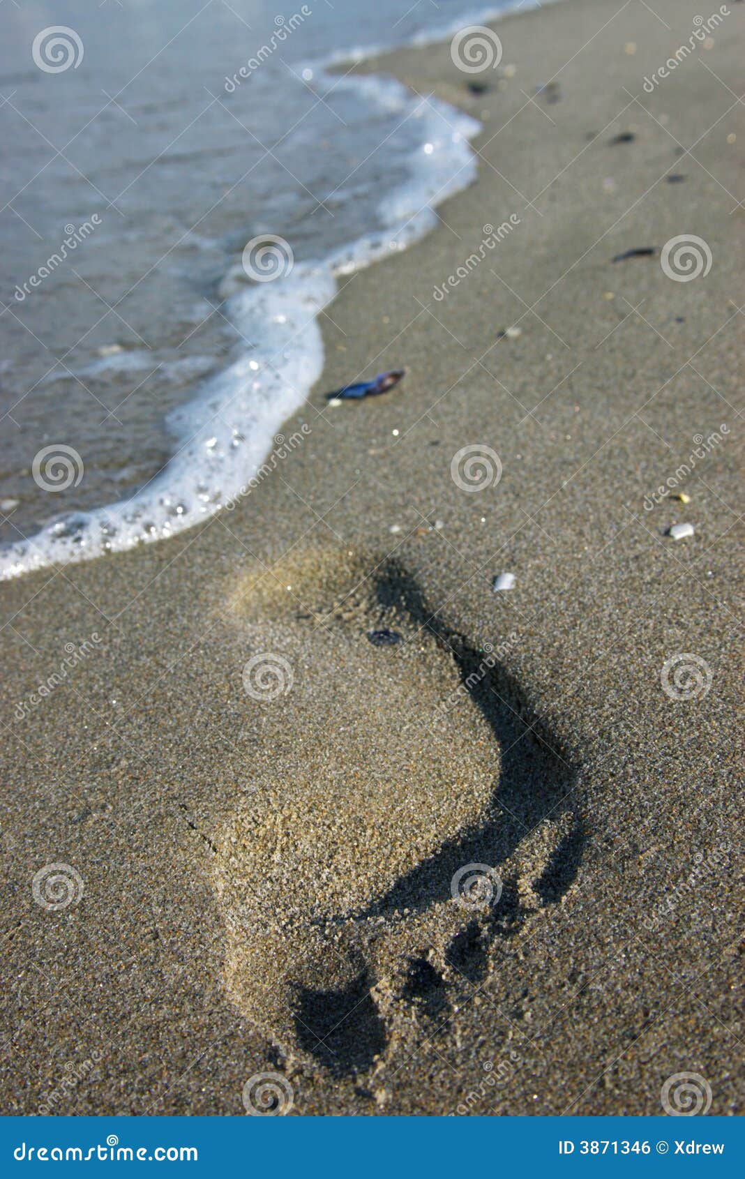 Human trace on sand stock photo. Image of seashore, vertical - 3871346