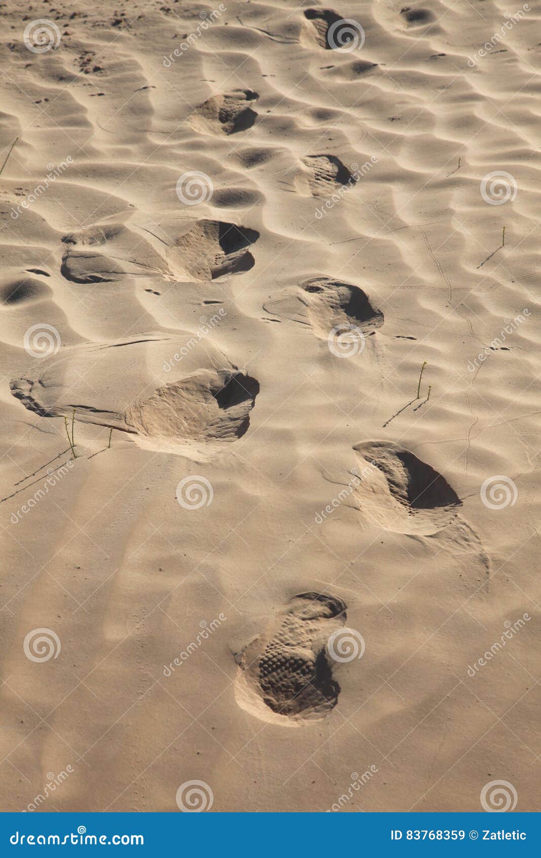 Human trace on sand stock image. Image of sand, lost - 83768359