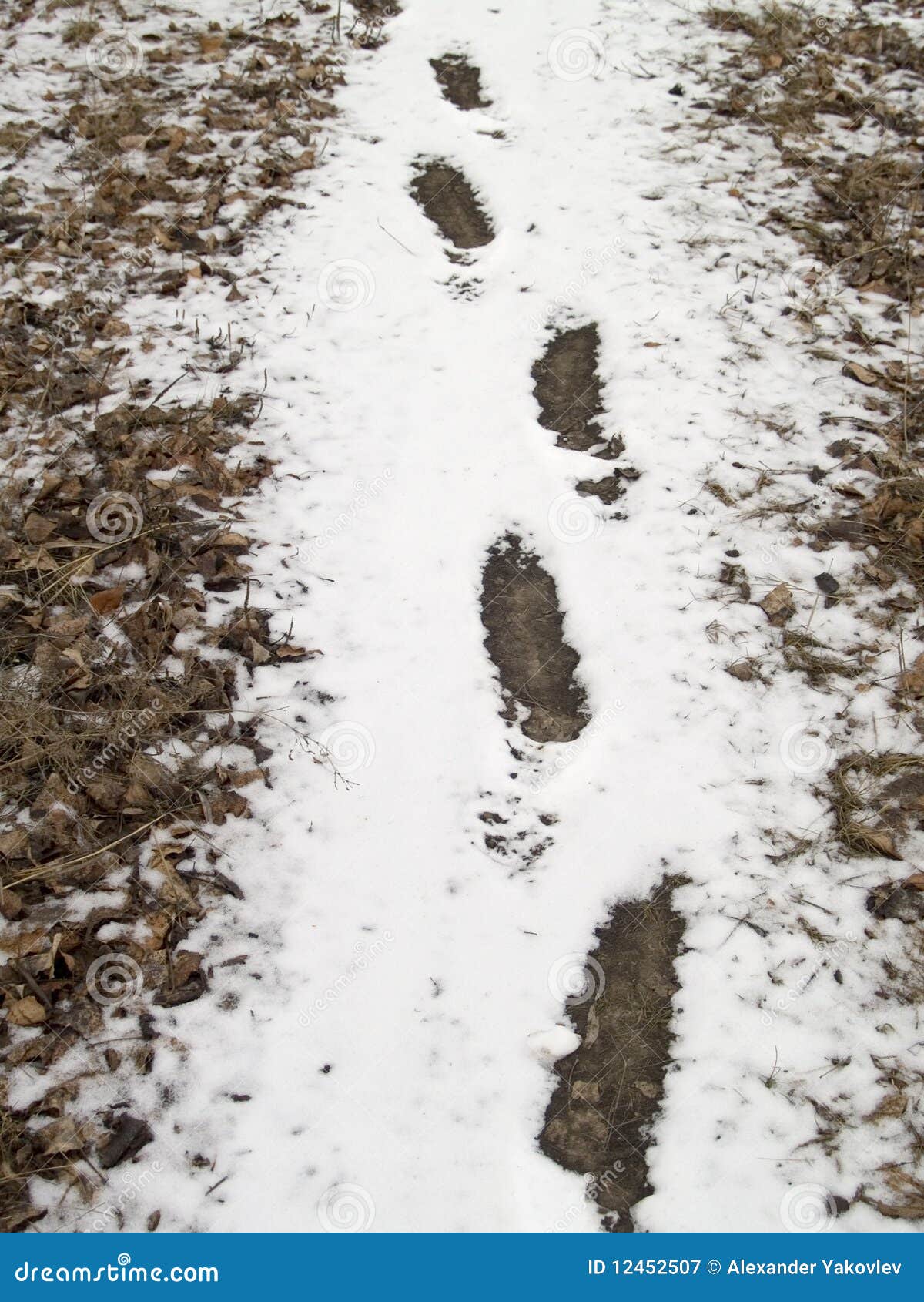 Human traces stock image. Image of winter, foot, snow - 12452507