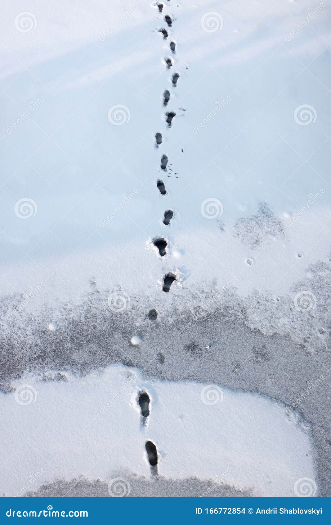 Human Traces in the White Snow, a View from Above Stock Photo - Image ...