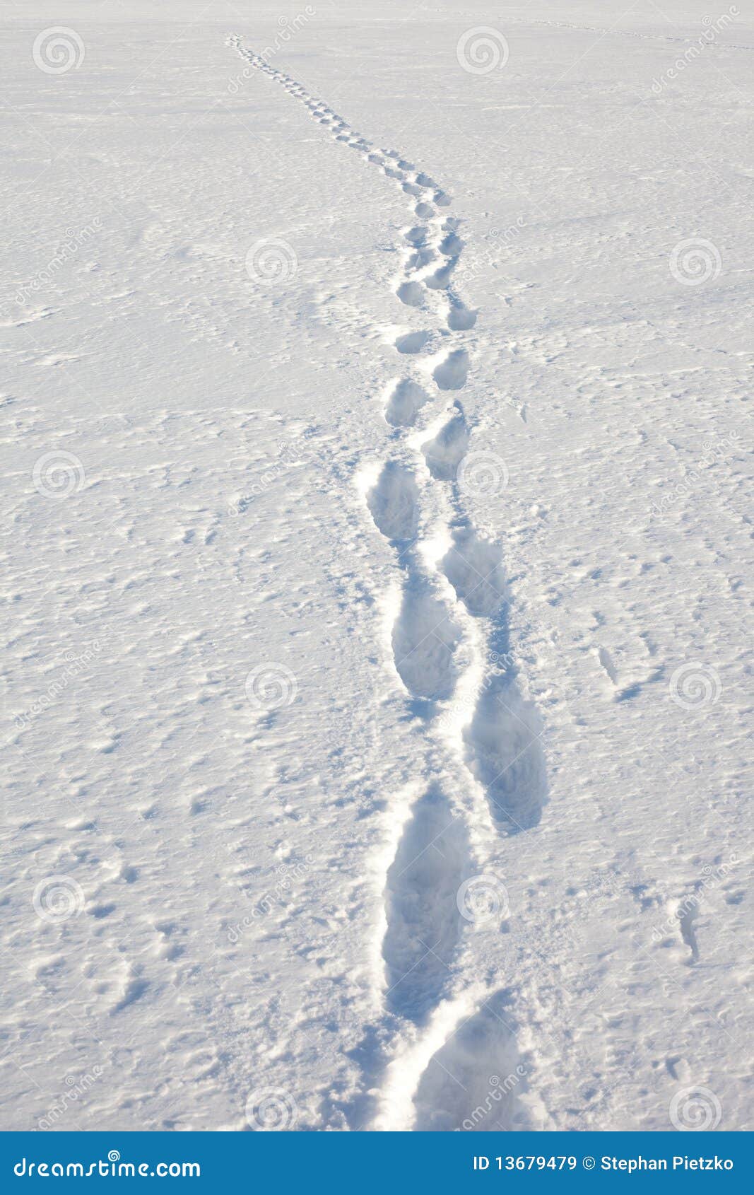 Human tracks in the snow stock image. Image of curve - 13679479