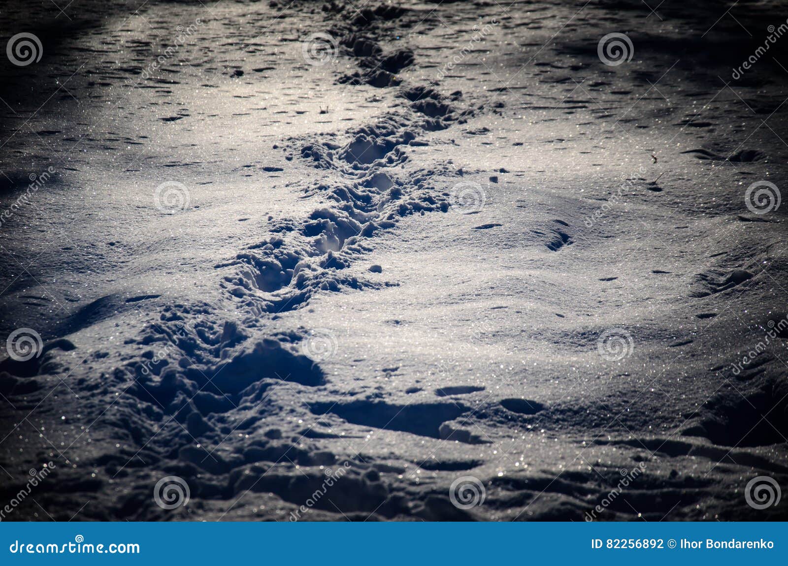 Human Tracks on a White Snow Stock Photo - Image of blue, mark: 82256892
