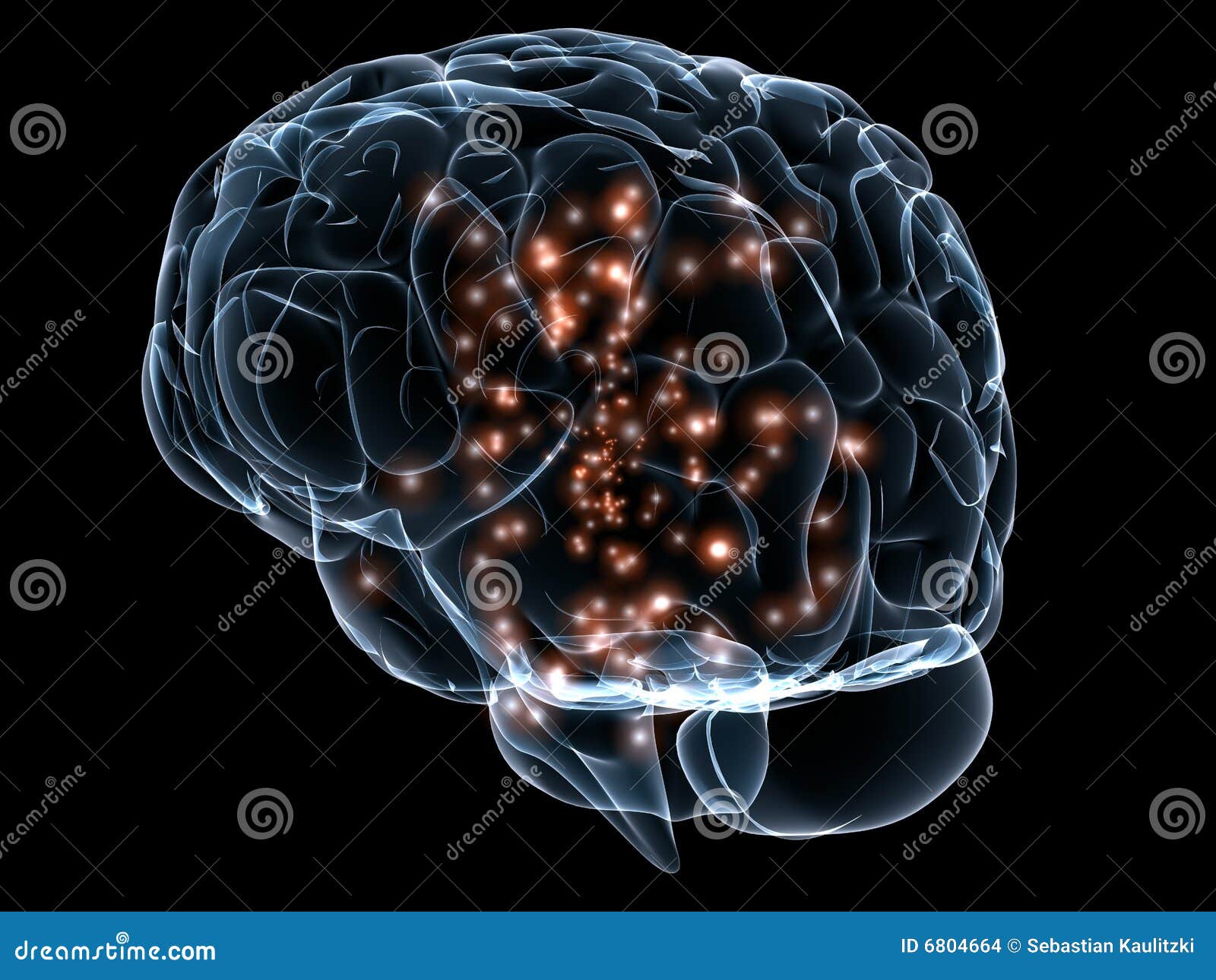 A Transparent Brain That Calculates Artificial Intelligence Created ...