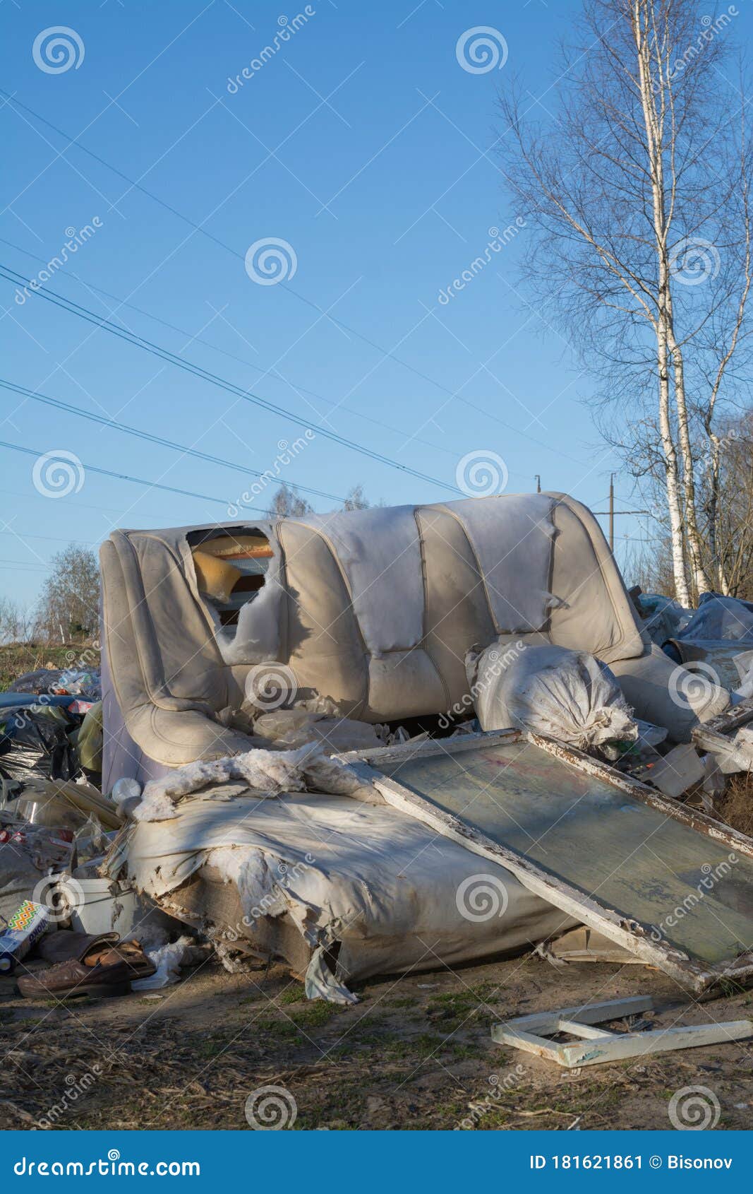 Human trash in the forest stock image. Image of conservation - 181621861