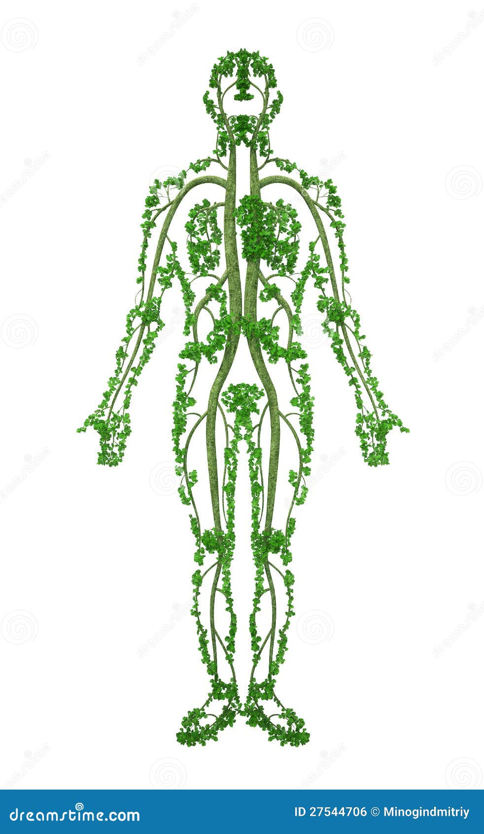 Human - tree 2 stock illustration. Illustration of environment - 27544706