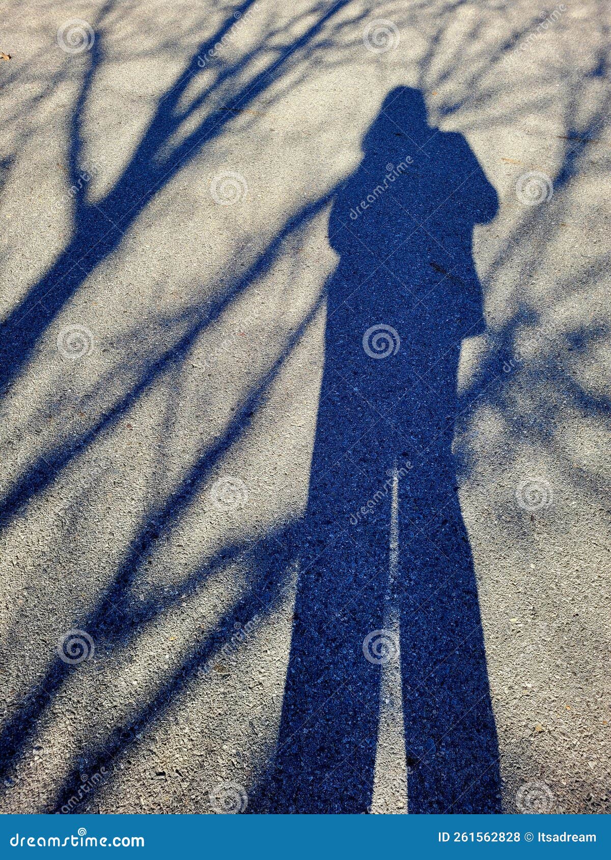 Human and tree silhouette stock photo. Image of silhouette - 261562828