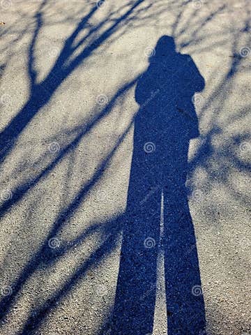 Human and tree silhouette stock photo. Image of silhouette - 261562828