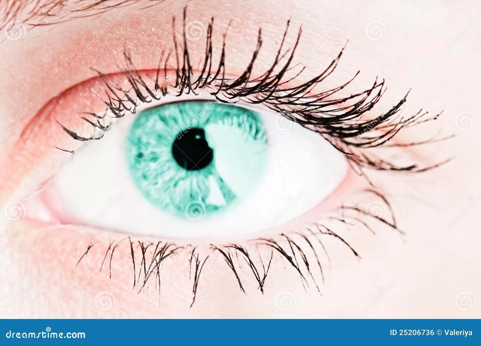 Human turquoise eye stock photo. Image of macro, faith - 25206736